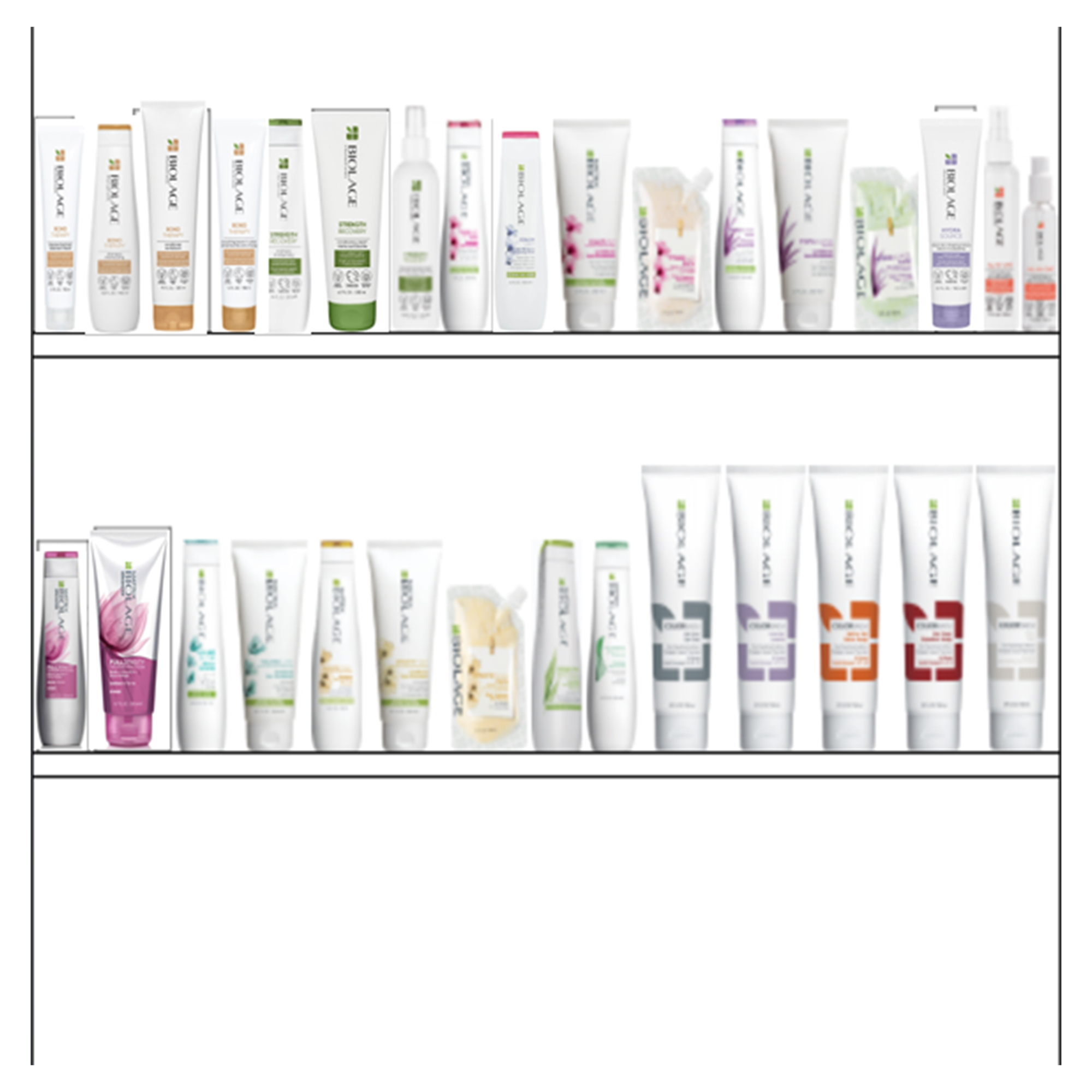 Biolage Retail Merchandising Toolkit | L'Oréal Partner Shop